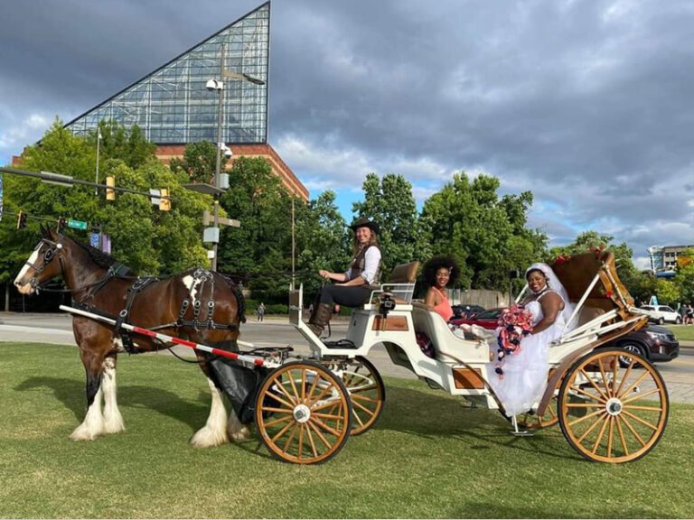 Our Carriages – Chattanooga Carriage Rides